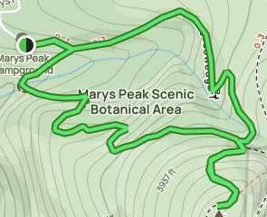 Mary's Peak Summit Loop: 688 fotos - Oregon | AllTrails