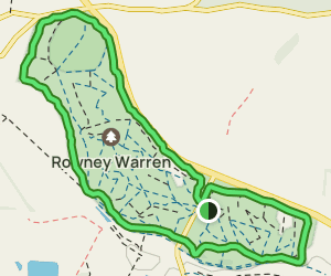 Rowney Warren Forest Trail Circular Walk: 116 Reviews, Map ...