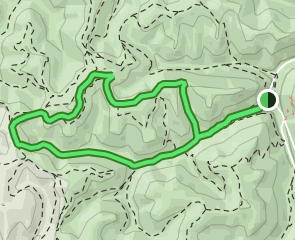 Polly Hollow, Hemlock Falls and Bob Ward Pathway: 137 Reviews, Map ...