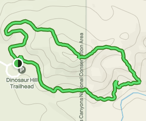 Dinosaur Hill Trail: 184 Reviews, Map - Colorado | AllTrails