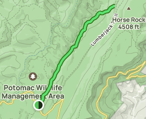 Seneca Creek to Judy Springs Trail, West Virginia - 155 Reviews, Map ...