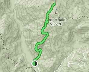 Beech Gap Trail, North Carolina - 33 Reviews, Map | AllTrails