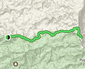 Poamoho Trail, Oahu, Hawaii - 165 Reviews, Map | AllTrails