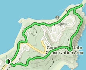 Cape Byron Walking Track: 561 Reviews, Map - New South Wales, Australia ...