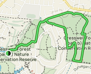 Gresswell Forest Loop, Victoria, Australia - 287 Reviews, Map | AllTrails