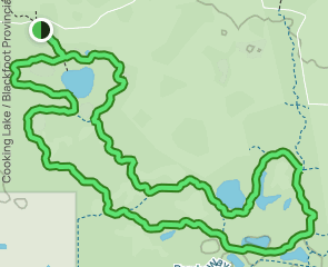 Lost Lake and Neon Lake Loop: 240 Reviews, Map - Alberta, Canada ...