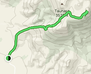 Tauhara Track, Waikato, New Zealand - 408 Reviews, Map | AllTrails