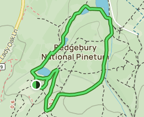 Bedgebury National Pinetum Circular, East Sussex, England - 50 Reviews ...