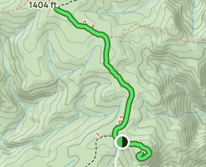 Mount Donald McLean Track, Auckland, New Zealand - 44 Reviews, Map ...