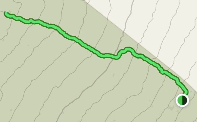 Mauna Loa Topographic Map