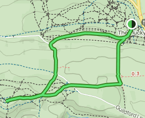 Newlands Corner and St Martha's Hill Circular, Surrey, England - 435 ...
