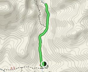 Standley Chasm Trail, Northern Territory, Australia - 66 Reviews, Map ...