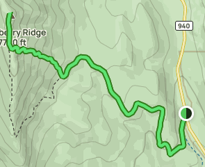 Raspberry Ridge Lookout, Alberta, Canada - 356 Reviews, Map | AllTrails