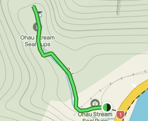 Ohau Stream Walk [CLOSED], Canterbury, New Zealand - 5 Reviews, Map ...