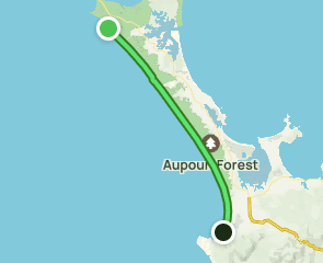 90 Mile Beach OHV Trail - Northland, Nova Zelândia | AllTrails