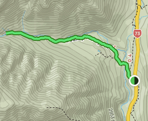 Bealey Valley Track, Canterbury, New Zealand - 78 Reviews, Map | AllTrails