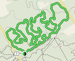 Creeks MTB Loop, Ontario, Canada - 202 Reviews, Map | AllTrails
