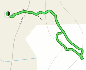 Matanuska Glacier Trail, Alaska - 239 Reviews, Map | AllTrails
