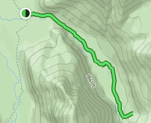 East Fork Trail and Tulchina Falls, Alaska - 8 Reviews, Map | AllTrails