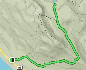 Helen Lake Trail, Alberta, Canada - 1,037 Reviews, Map | AllTrails