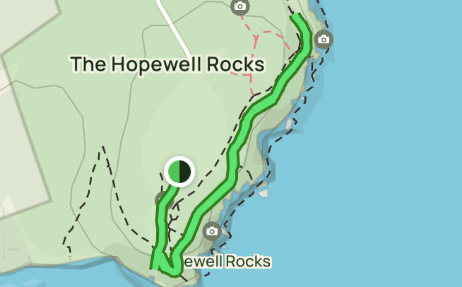 Google Maps Hopewell Rocks