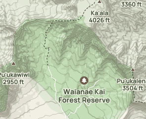 Mount Kaʻala Trail, Oahu, Hawaii - 1,568 Reviews, Map | AllTrails