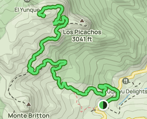 El Yunque Trail, East Region, Puerto Rico - 1,294 Reviews, Map | AllTrails