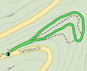 Tantalus Arboretum Trail, Oahu, Hawaii - 95 Reviews, Map | AllTrails