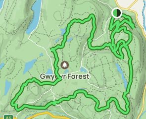 Marin Trail, Conwy, Wales - 33 Reviews, Map | AllTrails