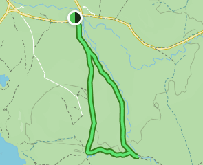 Rothiemurchus Forest Circular, Highlands, Scotland - 201 Reviews, Map ...