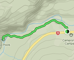 Blue Pools Track, West Coast, New Zealand - 541 Reviews, Map | AllTrails