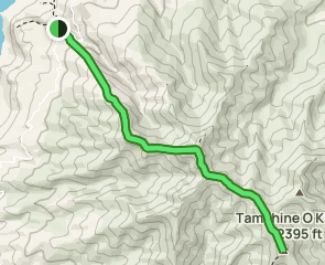Mount Karioi Track: 220 Reviews, Map - Waikato, New Zealand | AllTrails