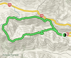 Kowai Forest Loop, Canterbury, New Zealand - 38 Reviews, Map | AllTrails