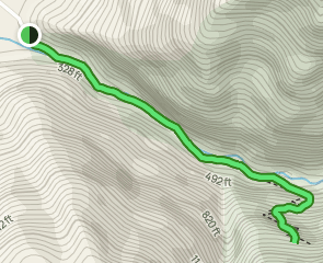 Rawhiti Cave Track [FECHADO]: 58 fotos - Nelson-Tasman, Nova Zelândia ...