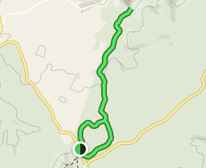 Otanewainuku Rimu and Whataroa Falls Track, Bay of Plenty, New Zealand ...