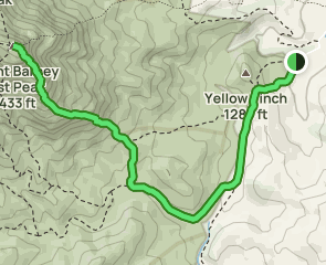 Mount Barney Via South East Ridge, Queensland, Australia - 63 Reviews ...