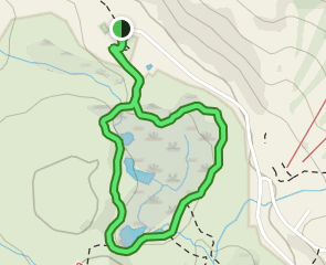 Old Cabin Loop: 195 Reviews, Map - British Columbia, Canada | AllTrails