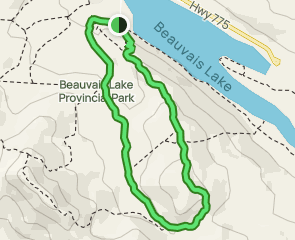 Piney Point Trail, Alberta, Canada - 88 Reviews, Map | AllTrails