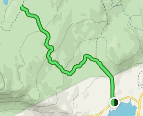 John Muir Recreation Cabin via Auke Nu Trail, Alaska - 212 Reviews, Map ...