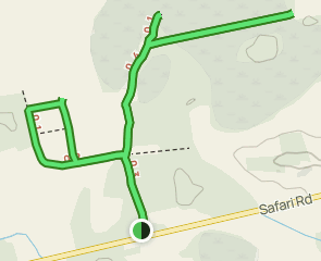 Beverly Swamp Trail, Ontario, Canada - 21 Reviews, Map | AllTrails
