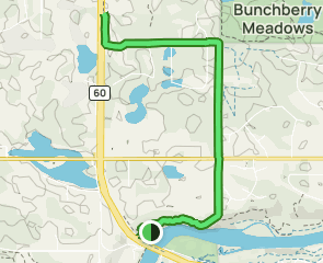 Devonian Trail : 76 Fotos - Alberta, Kanada | AllTrails