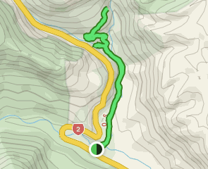 Tangoio Walkway [CLOSED], Hawke's Bay, New Zealand - 34 Reviews, Map ...