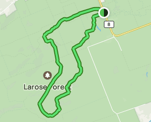 Larose Forest Ski Trails : 15 Photos - Ontario, Canada | Randonnée ...