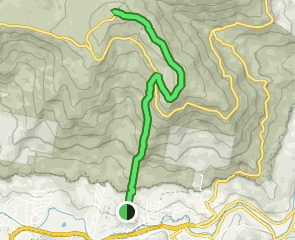 Mount Victoria Track: 274 Reviews, Map - Victoria, Australia | AllTrails