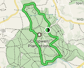 Chopwell Woods and River Derwent Circular: 229 Reviews, Map - Tyne and ...