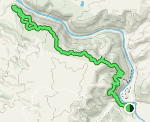 Manawatu Gorge Track via Big Totara Tree: 242 fotos - Manawatu-Wanganui ...