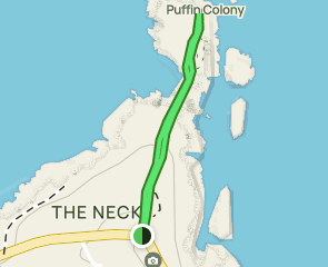 Elliston Puffin Colony, Newfoundland and Labrador, Canada - 88 Reviews ...