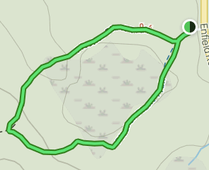 Pitcher Plant Trail, Nova Scotia, Canada - 28 Reviews, Map | AllTrails