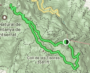 Sant Jeroni Summit Loop, Barcelona, Spain - 941 Reviews, Map | AllTrails