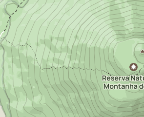 Pico Trail (Azores), Azores, Portugal - 334 Reviews, Map | AllTrails